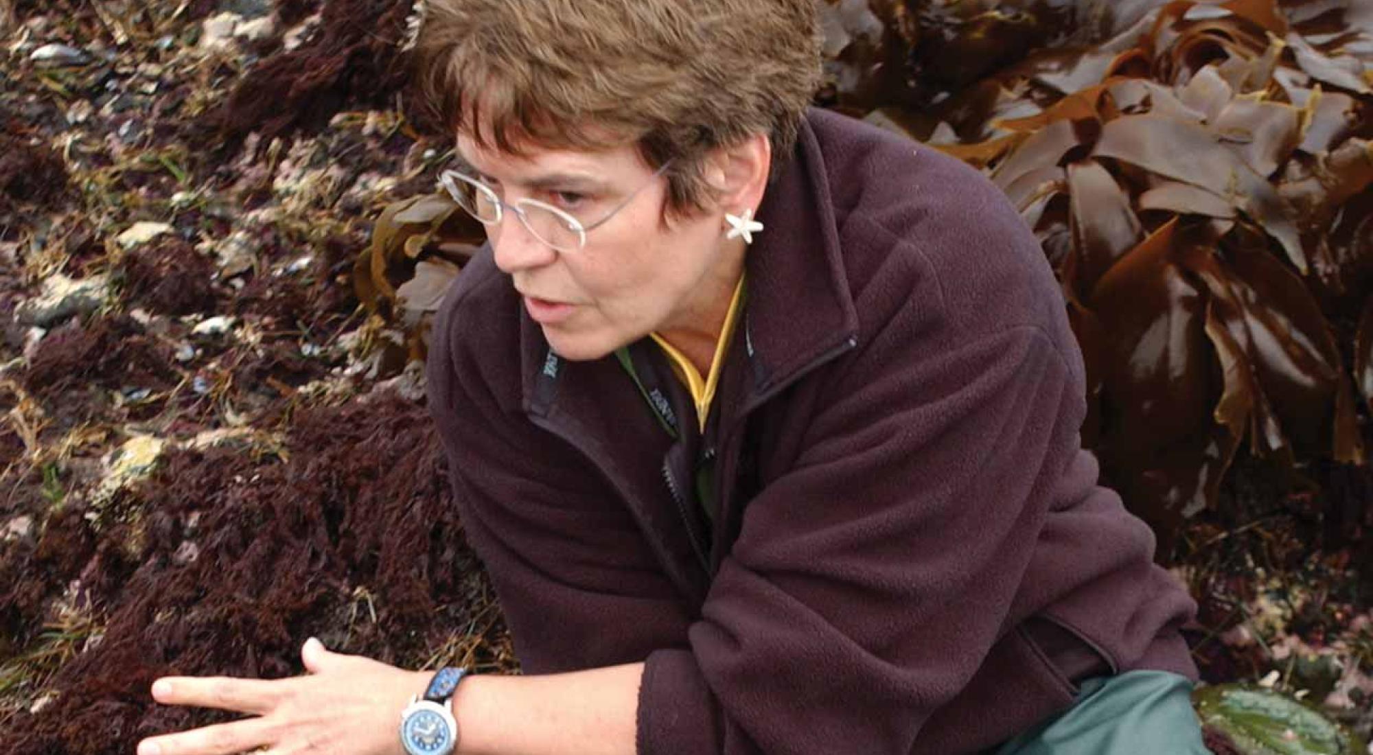 Marine ecologist receives prestigious National Science Board award ...