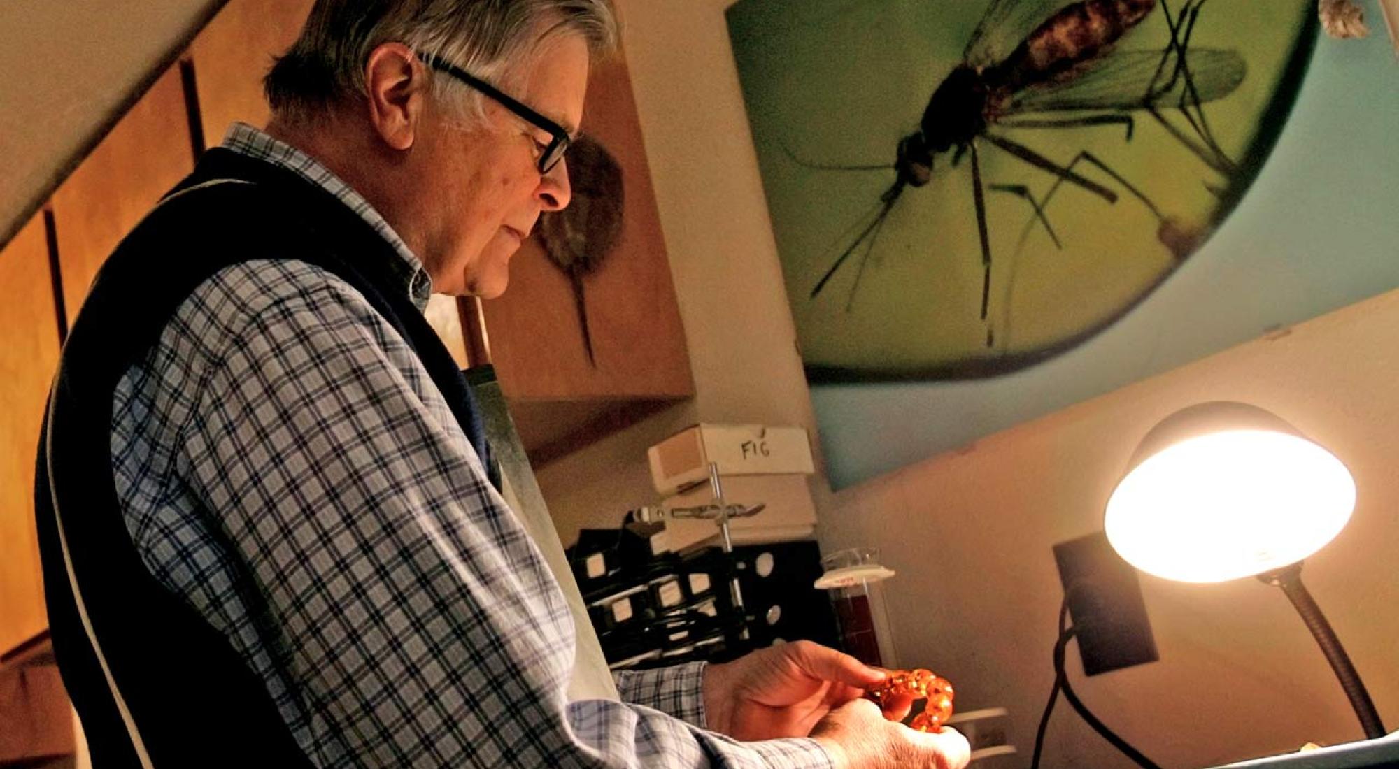 Amber reflections from the scientist who inspired Jurassic Park ...