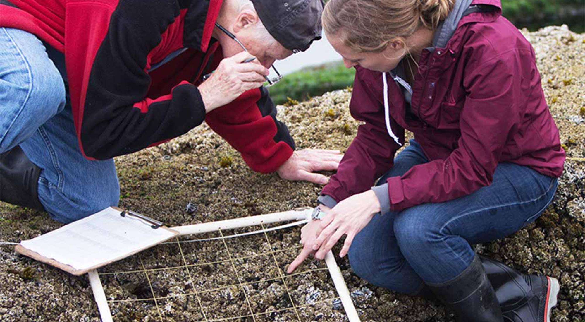 Online Environmental Sciences program ranked No.2 in country ...
