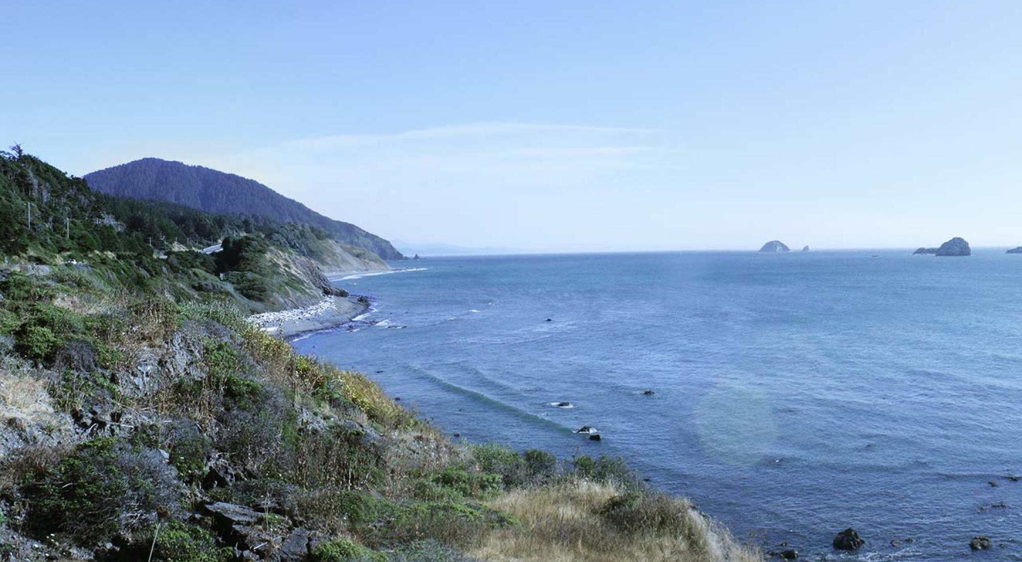 Battling climate change: Ecologist and a network of volunteers monitor ...
